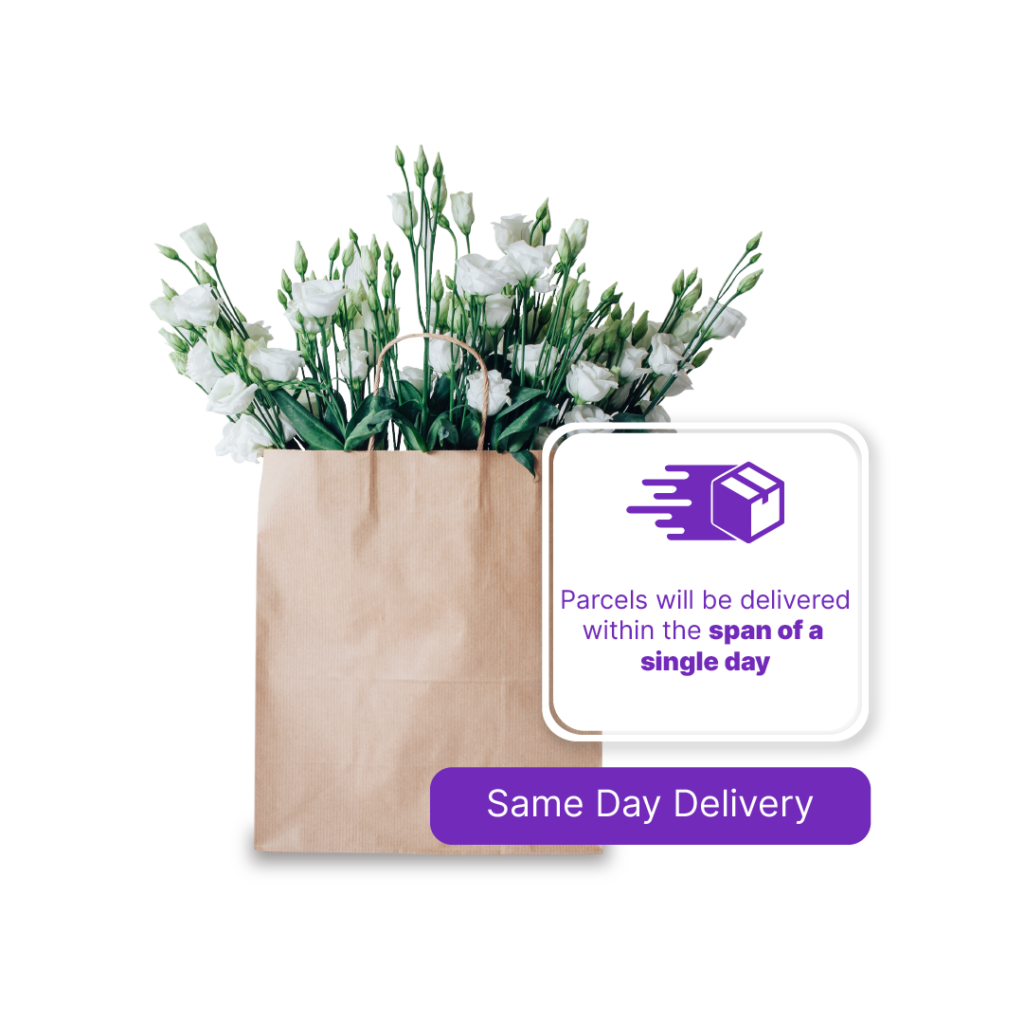 Same Day Delivery Courier Services - Metrobi