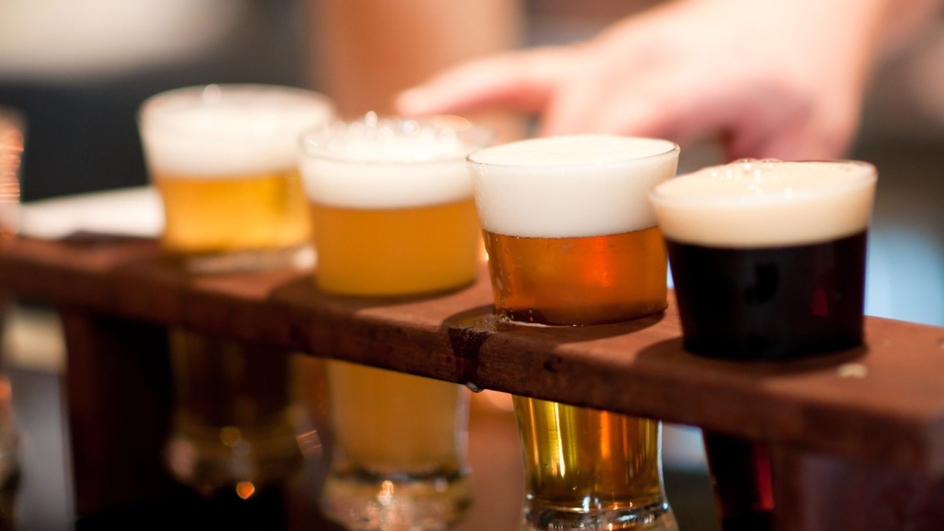 Brewery business plan templates and examples [Free and paid]