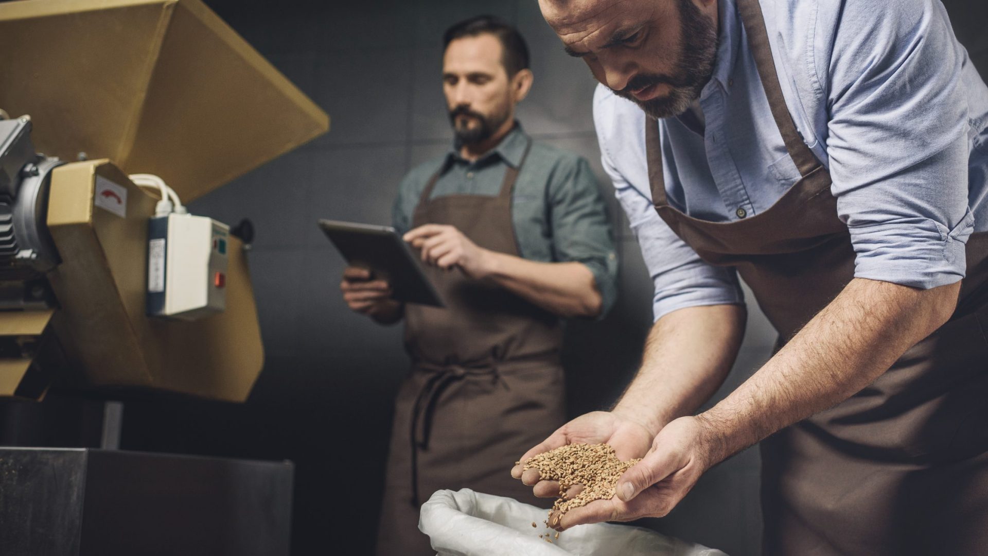 Brewery business plan templates and examples [Free and paid]